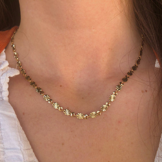 Collares – Minerva Brand